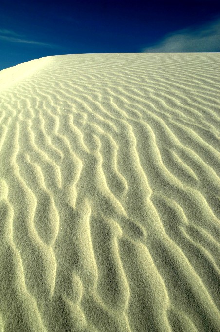 Simplicity & Seeing The Light | Earth Images Blog by Wayne Nelson